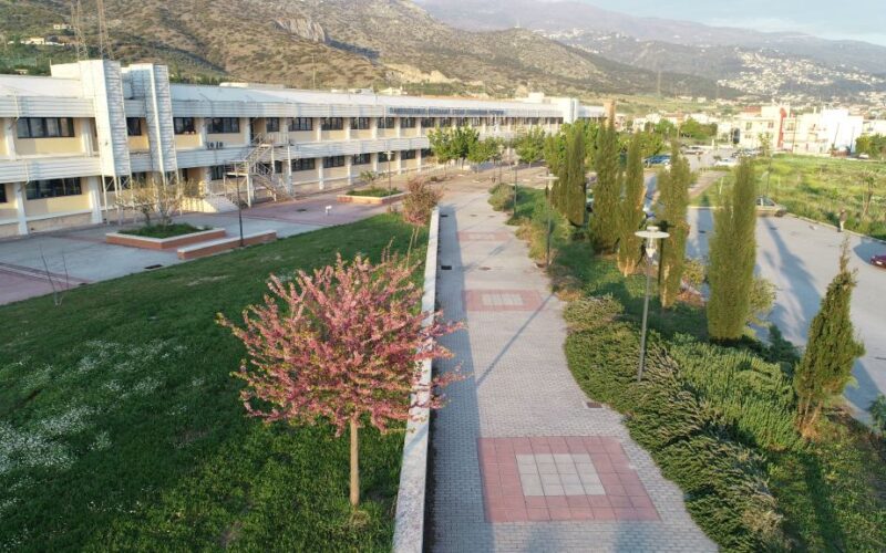 Έναρξη Υποβολής Αιτήσεων Για Δωρεάν Σίτιση Ακ. Έτους 2024-2025 – Τμήμα ...