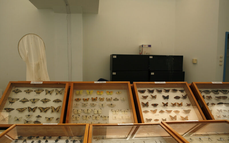 Laboratory of Entomology and Agricultural Zoology – Department of ...